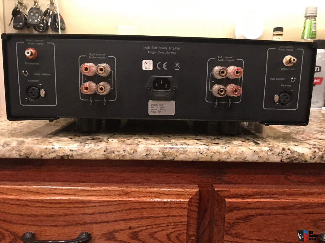 Hegel H20 power amp