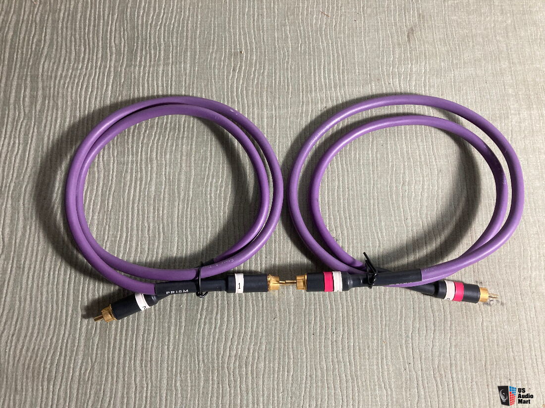 Tara Labs Space & Time Prism 1 Meter RCA A Pair
