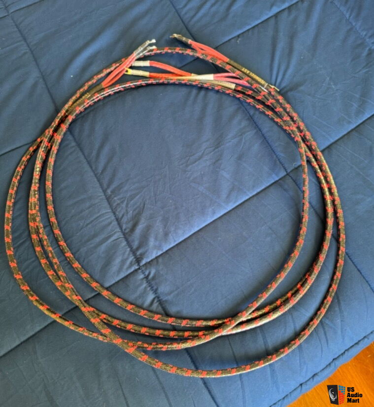 ICONOCLAST TPC SERIES-2 speaker cables 12 feet length medium spades to ...