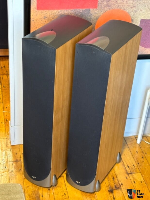 Paradigm Reference Studio 60 v4 Towers - Superstars from The Great ...