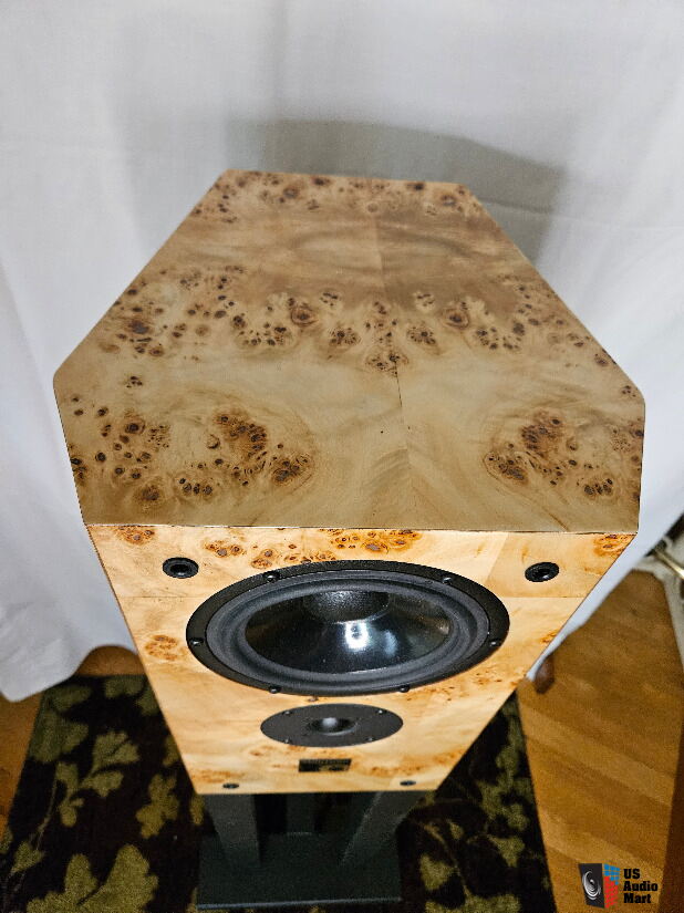 PBN Monitor 2 Speakers Photo #5139321 - US Audio Mart
