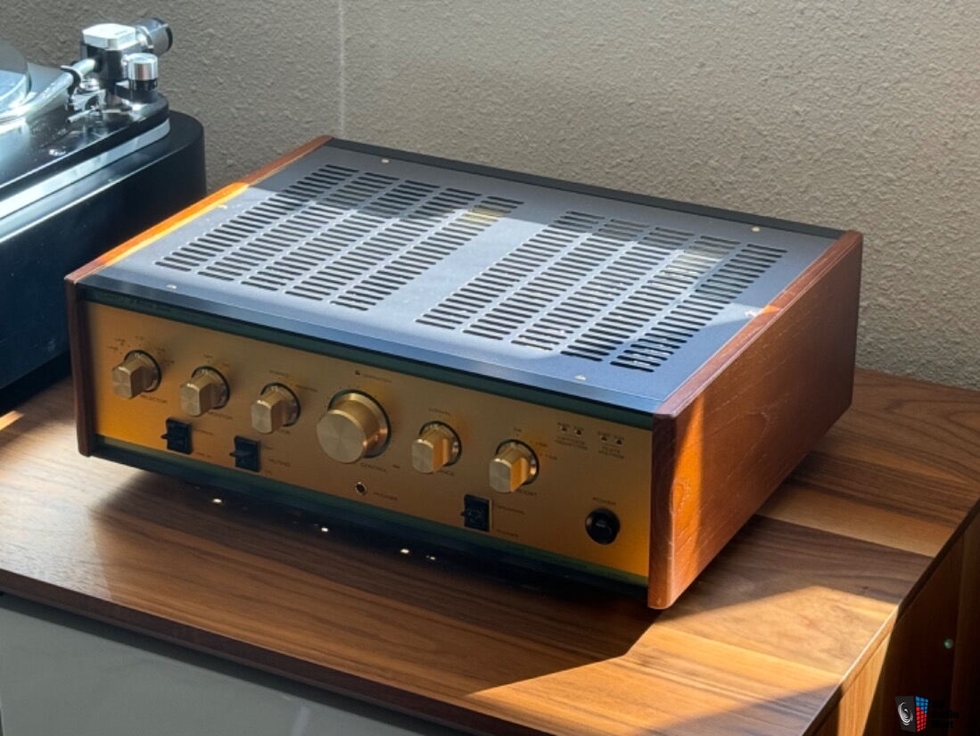 Leben CS-600X (SF Bay Area local pickup) Photo #5145375 - US Audio Mart