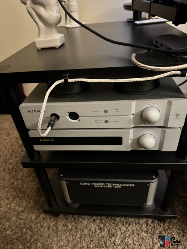 Auralic amp and dac, plus $3200 of cables, 2 power cords, 1 XLR For ...