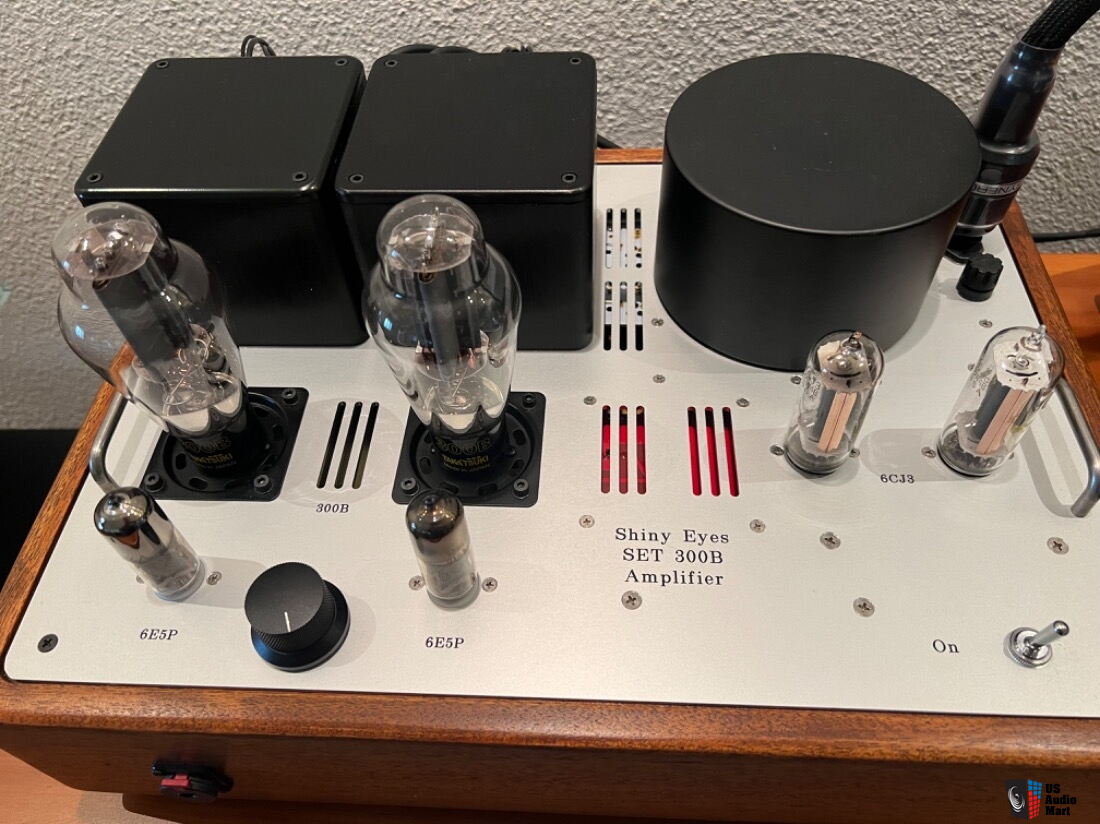 Radu Tarta 300b amplifier with upgrades Photo #5148818 - US Audio Mart