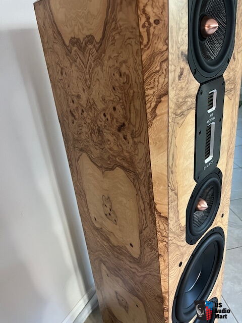 Legacy Focus XD in Ash Burl Photo #5151065 - US Audio Mart