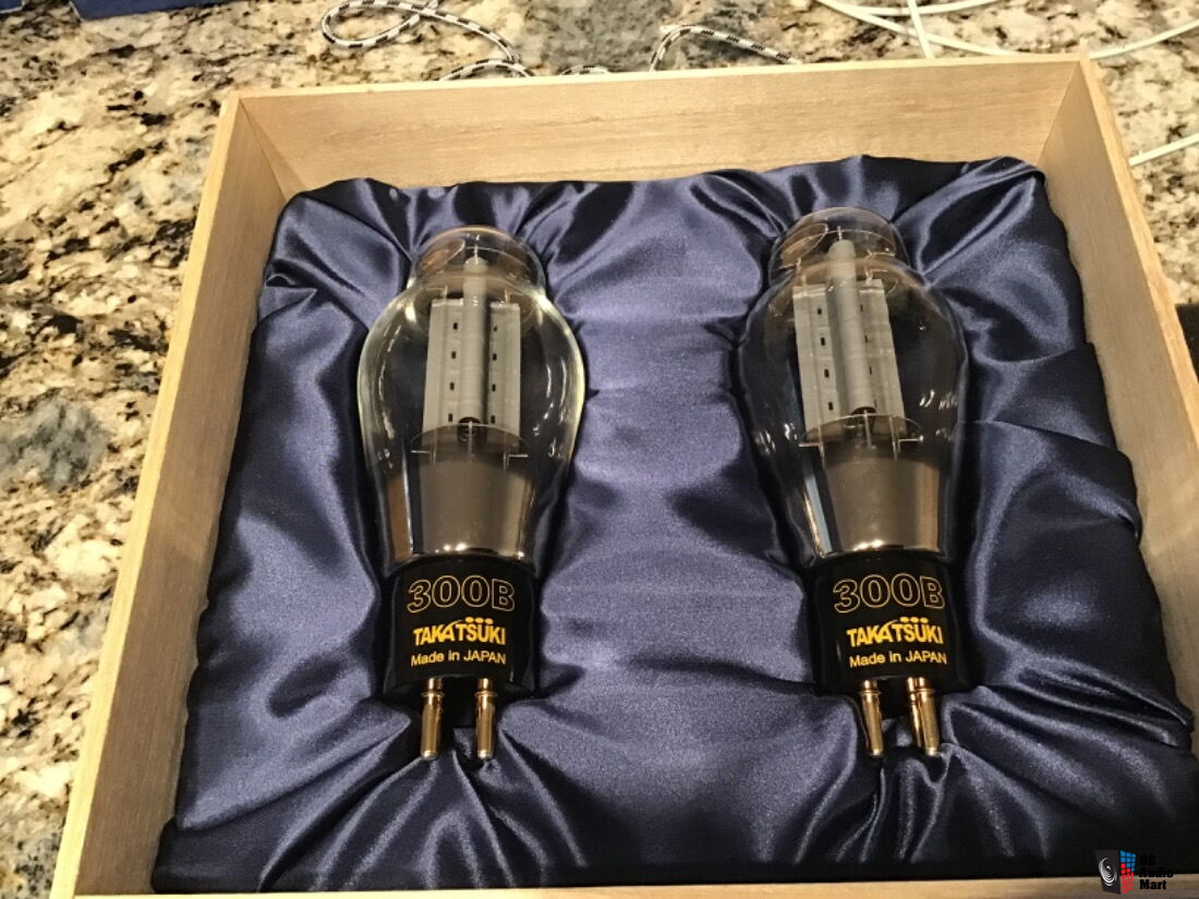 Takatsuki TA-300B Pair For Sale - US Audio Mart