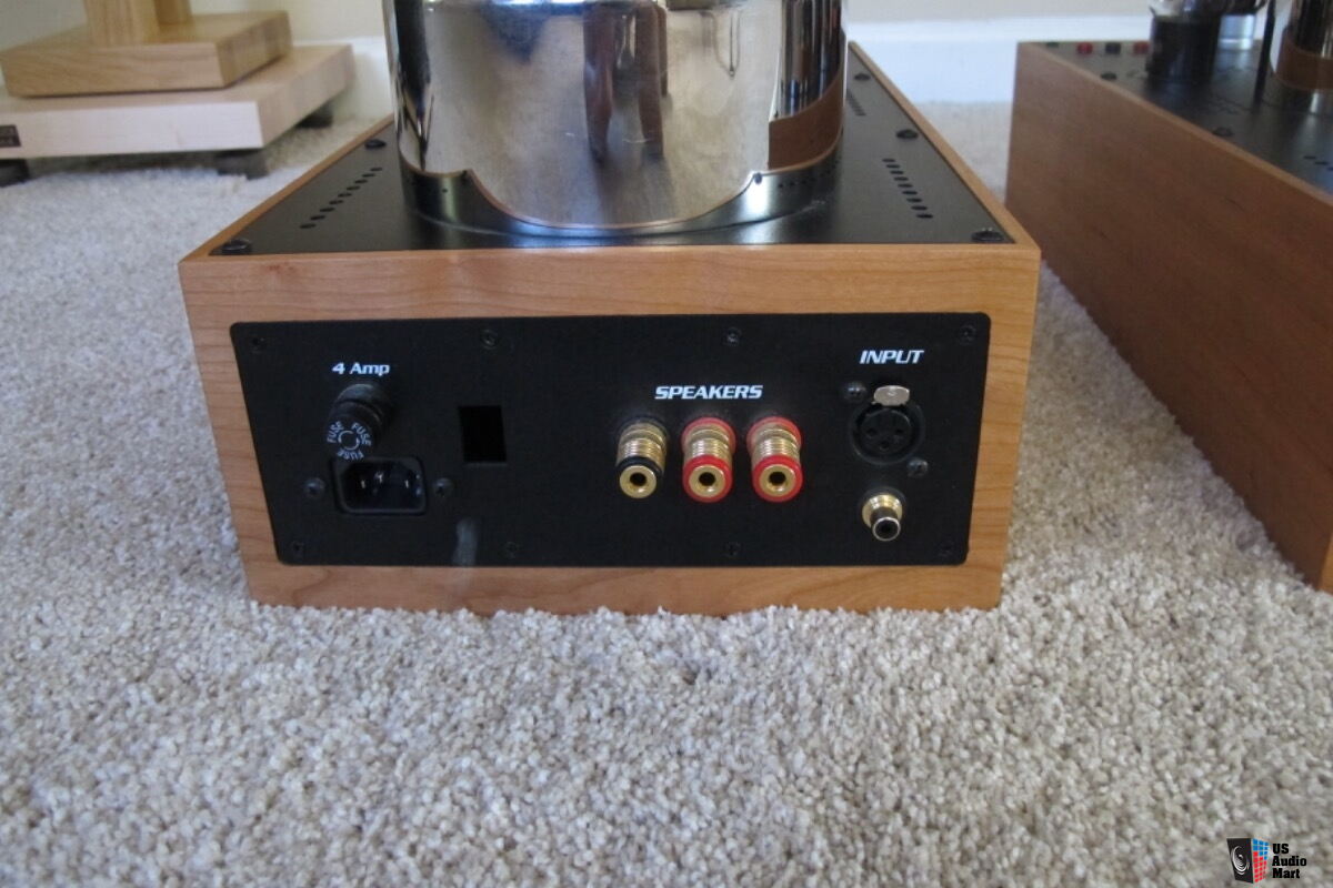 Don Sachs 300b monoblocks Photo #5158022 - US Audio Mart