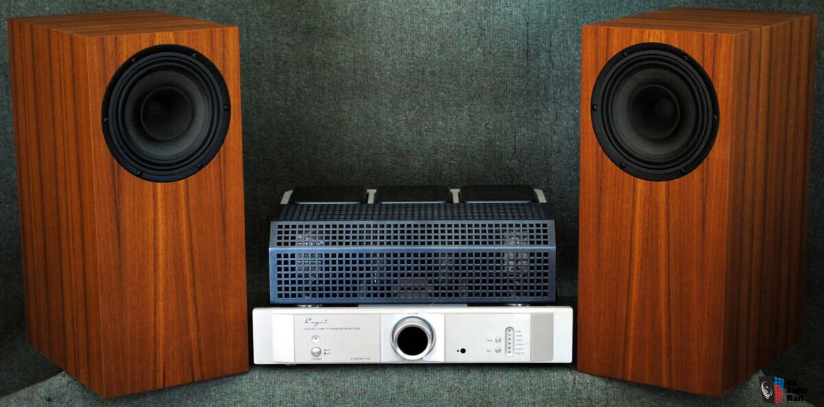 Cayin 300B integrated tube amp with Fritz 6 inch full range Hemp cone ...