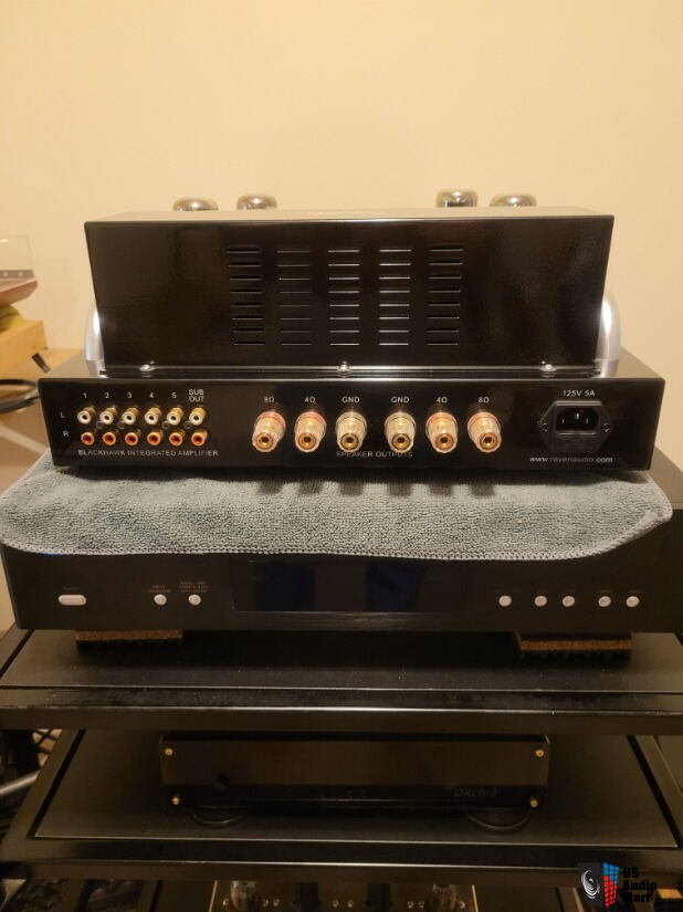 Raven Audio Osprey Mk.1 tube integrated Photo #5183790 - US Audio Mart