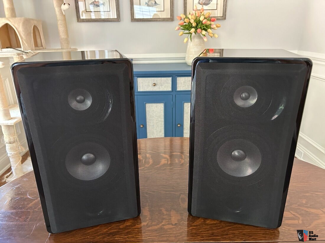 Mark Audio-Sota Cesti B Photo #5190334 - US Audio Mart