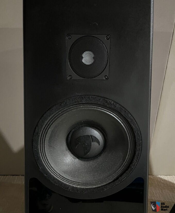 Talon Raven C Speakers - Reduced! Photo #5195553 - US Audio Mart