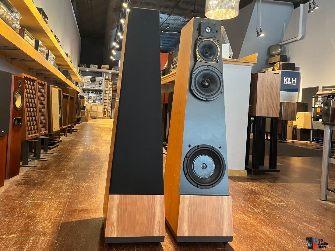 Vandersteen Treo Loudspeakers w/ Original Boxes & Manual - Gorgeous ...