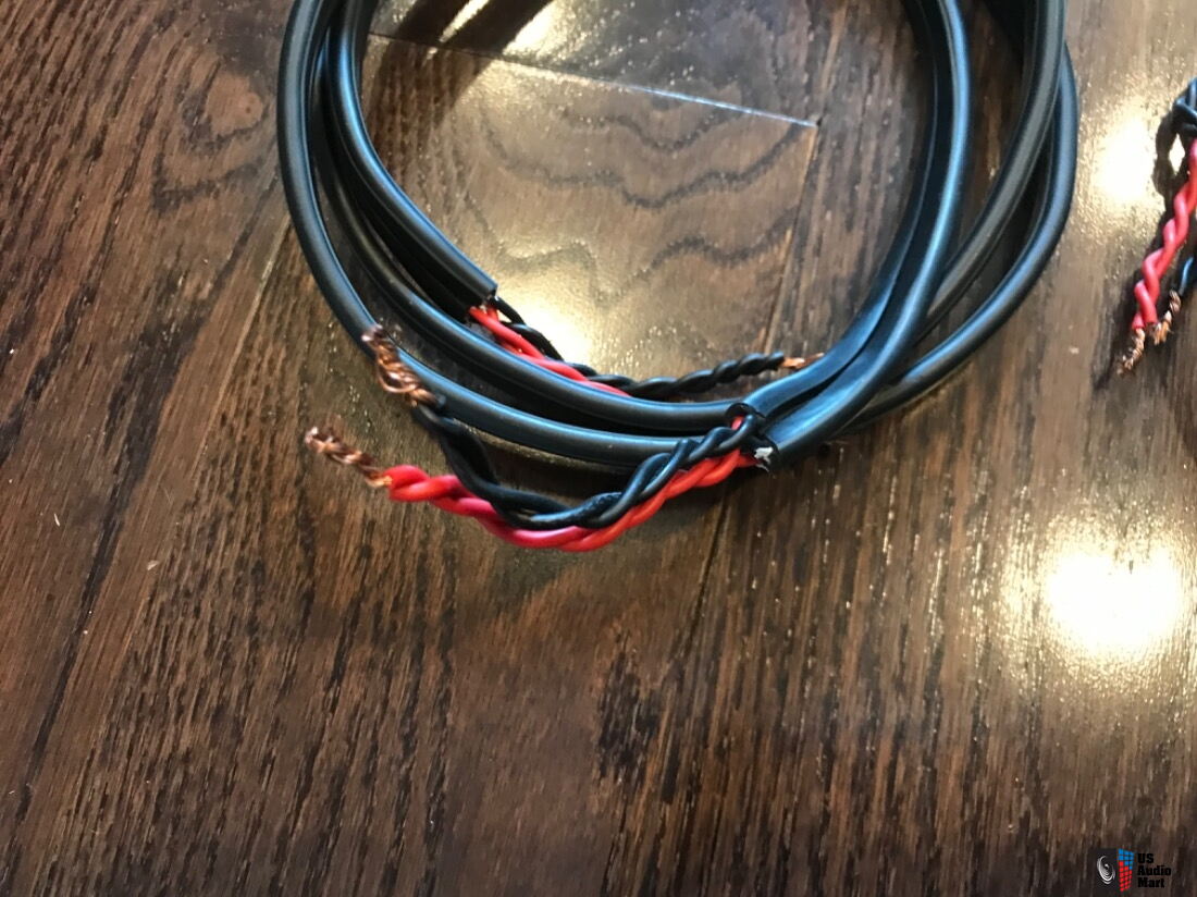 Audioquest Rocket 11 Speaker Cables 5.5 Foot Pair Photo #5204499 - US ...