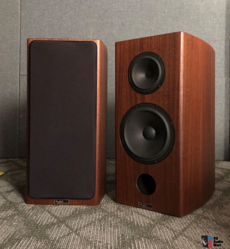 Tyler Acoustics U2 demos ribbon mahogany Photo #5208284 - US Audio Mart