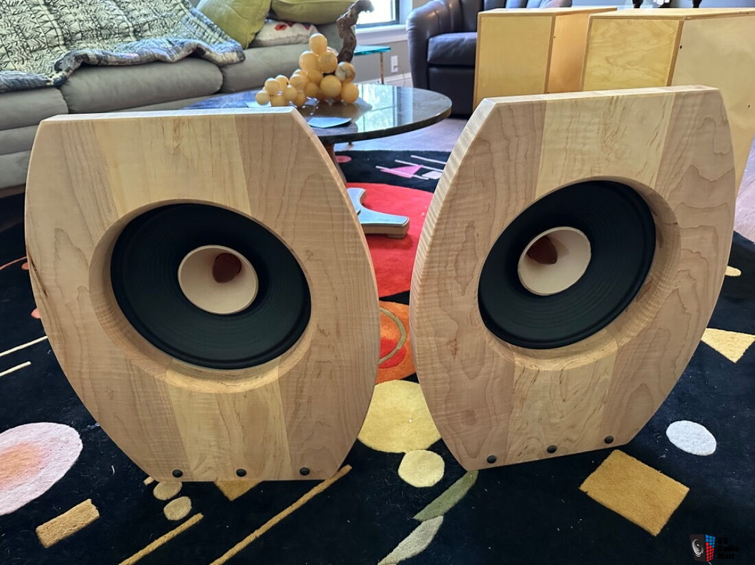 Lii Audio F12 drivers in Caintuck baffles Photo #5210286 - US Audio Mart