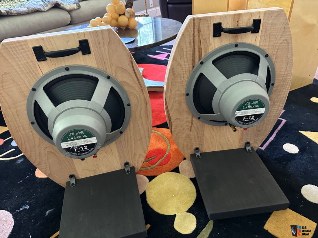 Lii Audio F12 drivers in Caintuck baffles Photo #5210286 - US Audio Mart