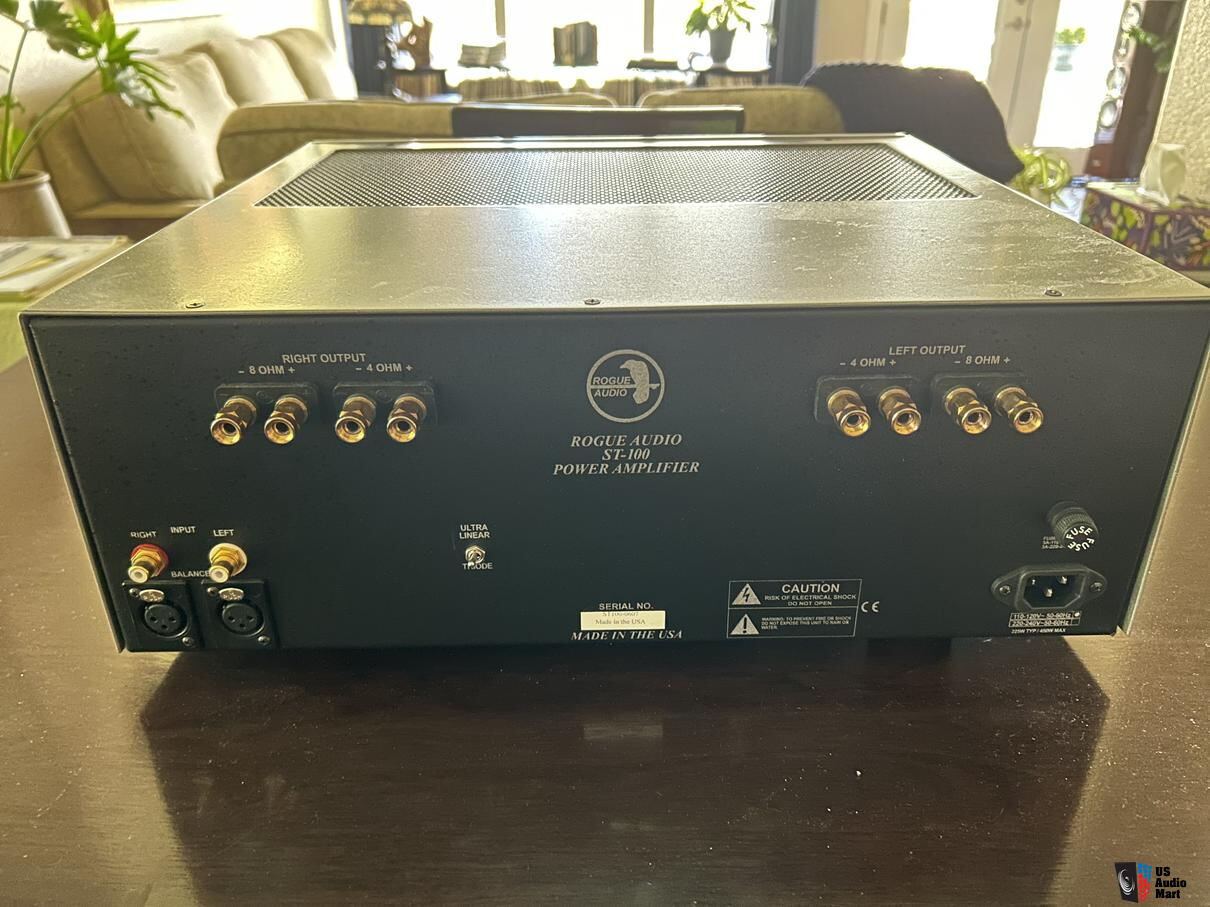 Rogue Audio RP7/ST 100 set Photo #5210353 - US Audio Mart