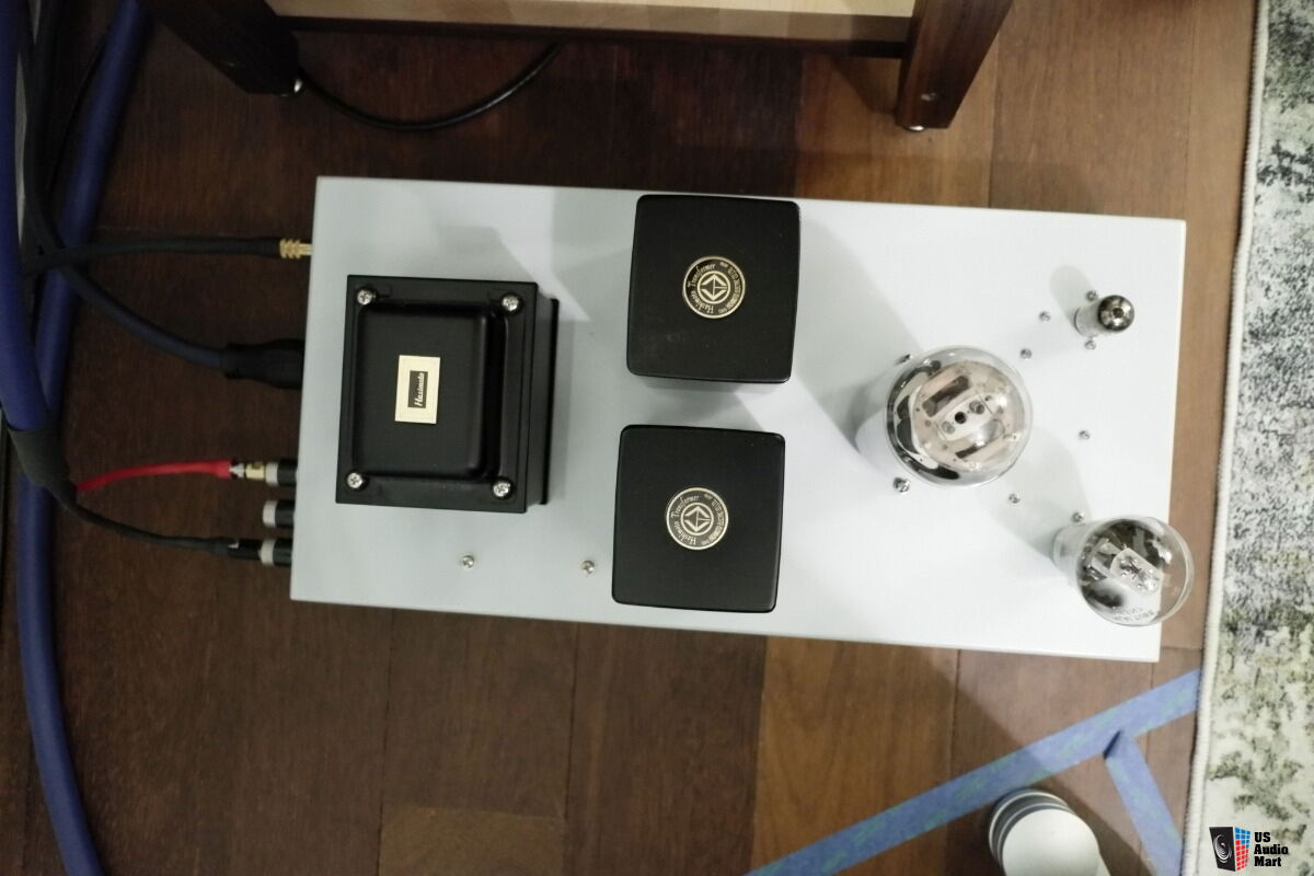 Triode Lab 211M Pair Photo #5217236 - US Audio Mart