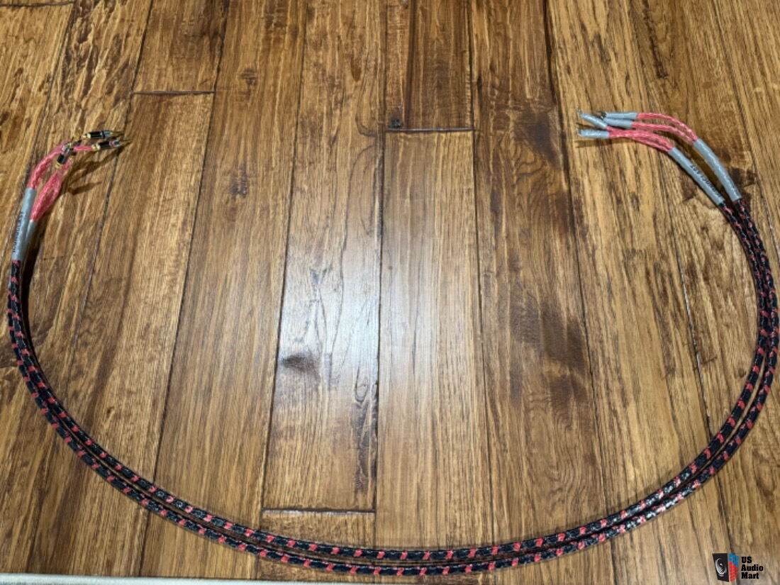 Iconoclast Series 1 TPC - 6 feet (pair) For Sale - US Audio Mart