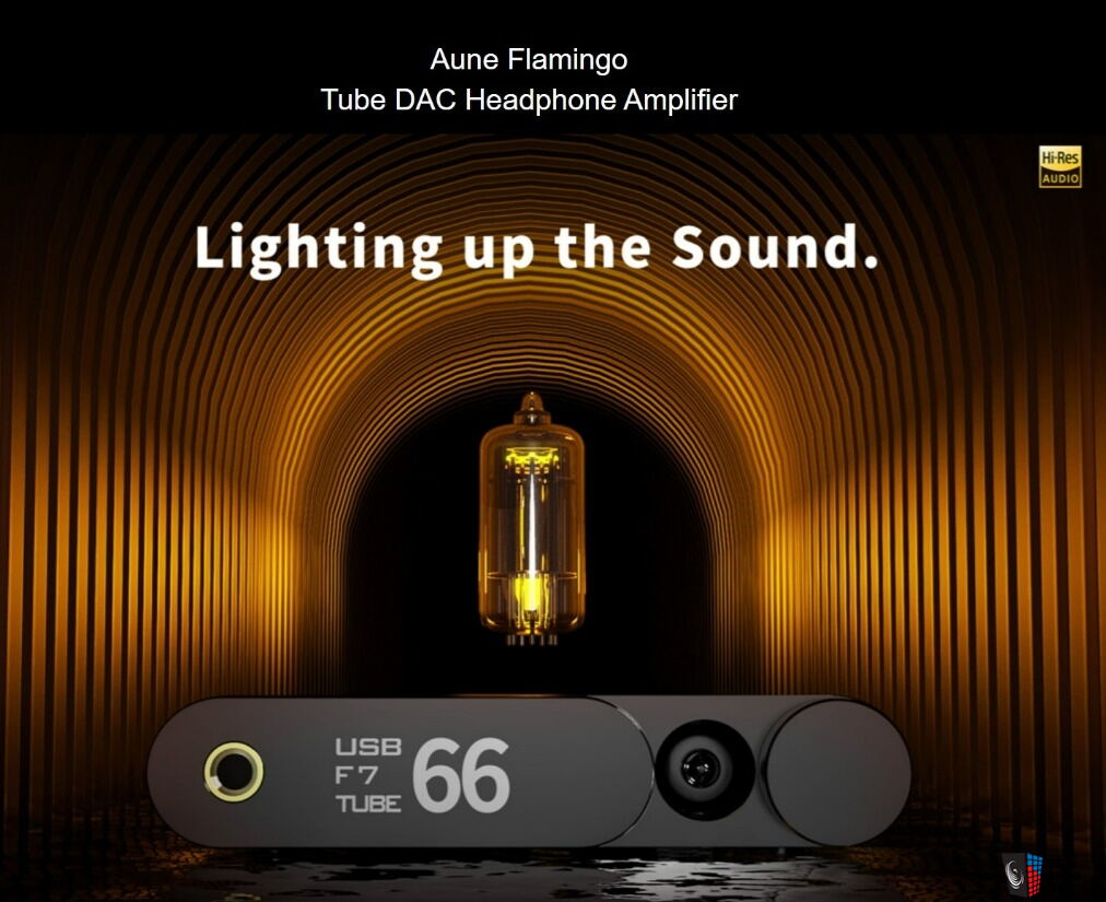 aune Flamingo Headphone Tube Amplifier with DAC and Remote Photo ...
