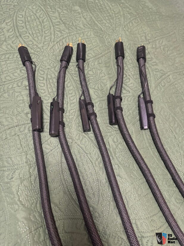 5- Audioquest Five Blizzard DBS Power Cords 1 Meter Power Cord Photo ...