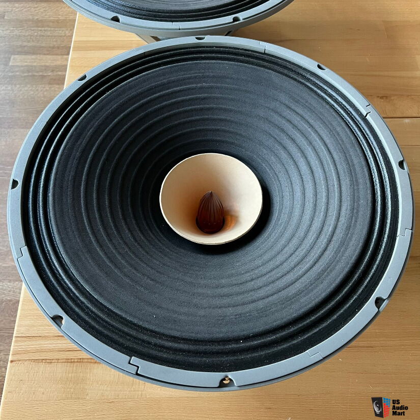 Lii Audio F-18 full range speakers Lii-Song Photo #5224522 - US Audio Mart