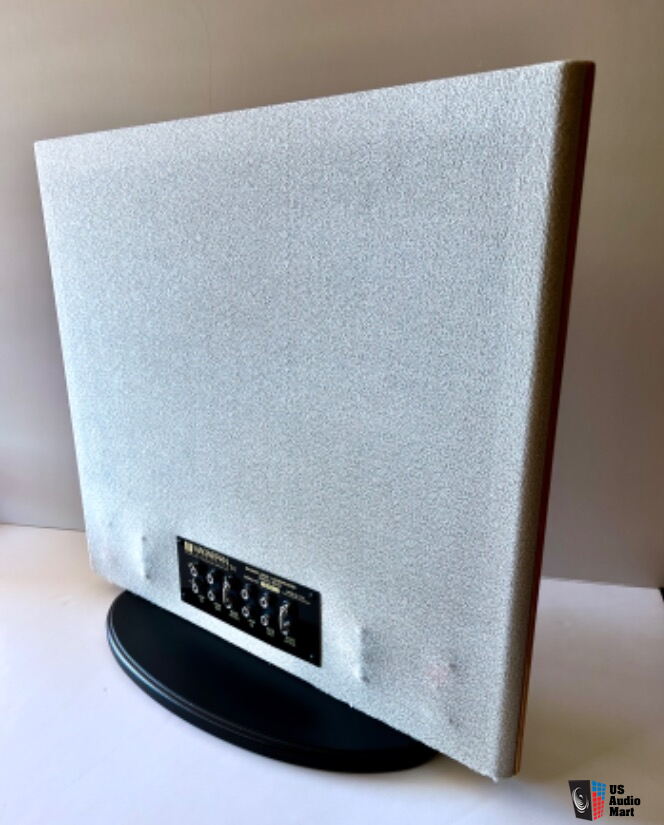 Magnepan DWM Bass Panel (Pair) - Reduced Price Photo #5226994 - US ...