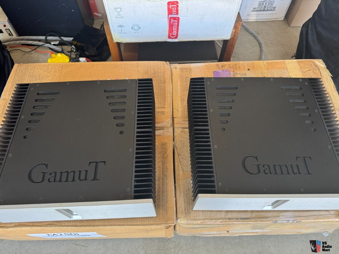 GamuT Audio M250i Monoblock Amplifier Photo #5227259 - US Audio Mart