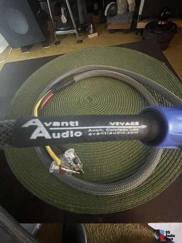 2.0M Vivace REL High Level Subwoofer Cable w/WBT Bananas/Speakon/pair/2 ...