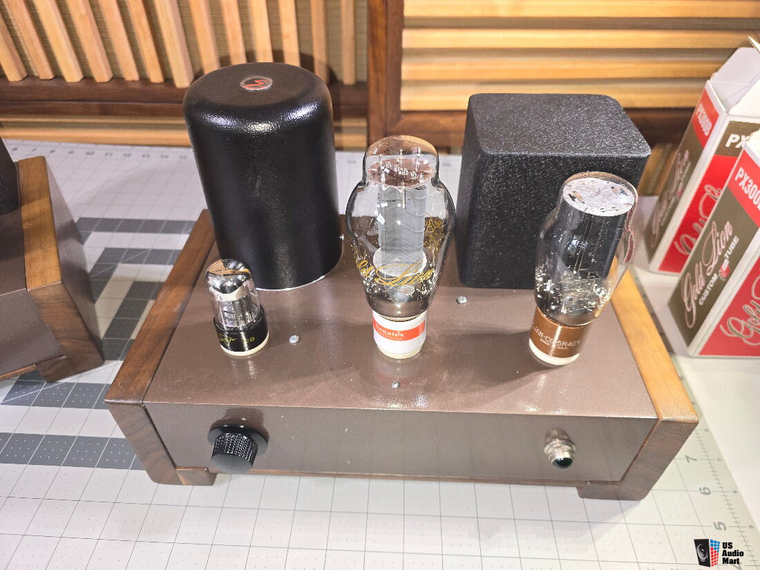 Alan Eaton 300B monoblocks