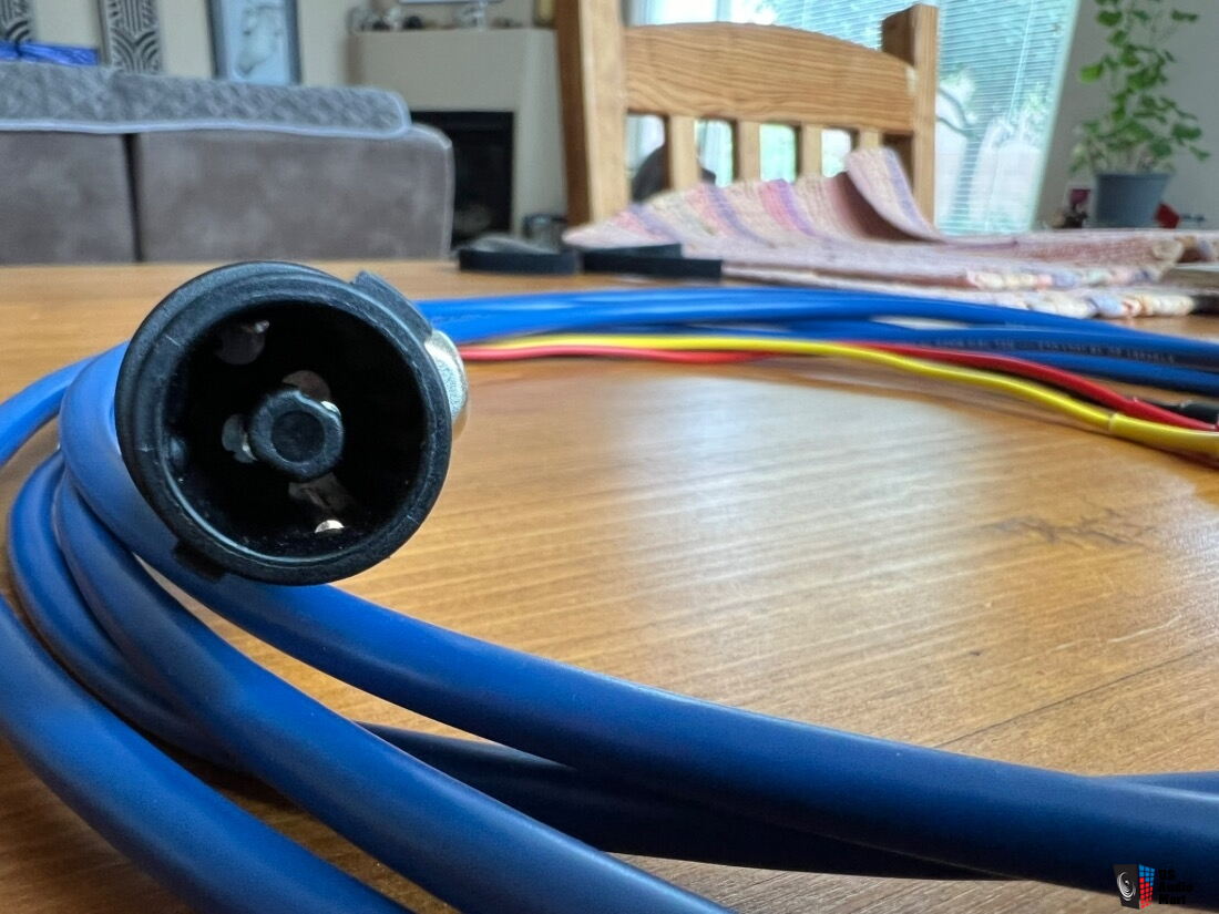REL Bassline Blue Subwoofer Connection Cable 3.8M Photo #5246628 - US ...