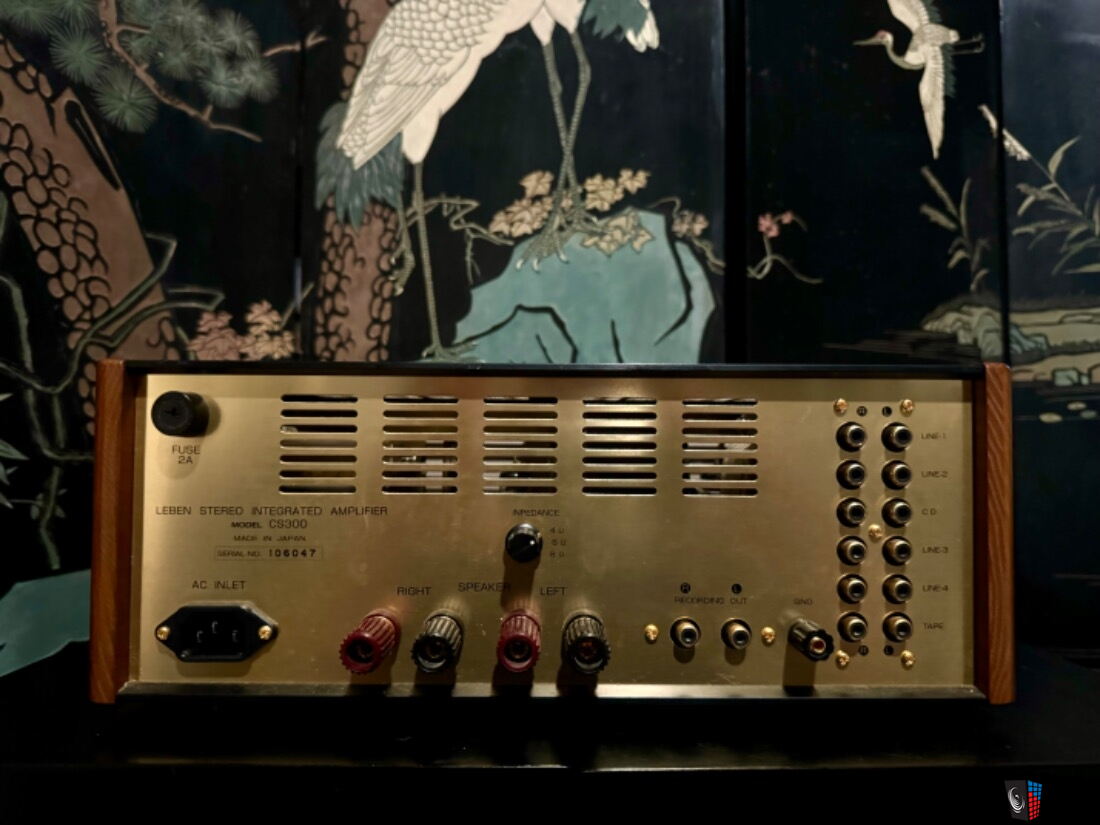 Leben CS300 Photo #5251302 - US Audio Mart