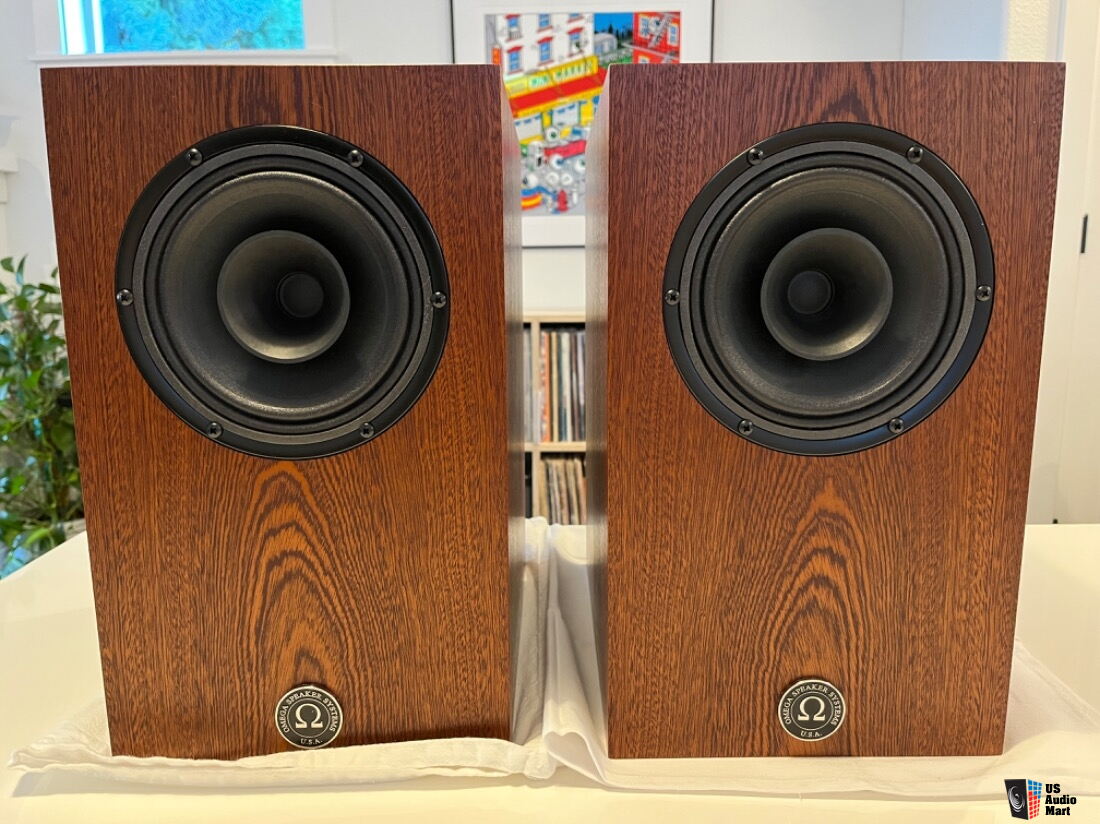 Omega Custom Modern Cam Speaker For Sale - US Audio Mart
