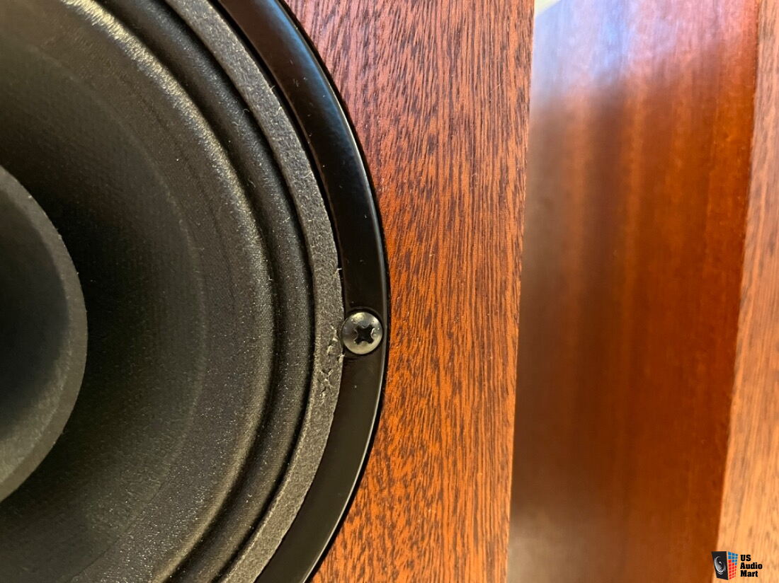 Omega Custom Modern Cam Speaker Photo #5254106 - US Audio Mart
