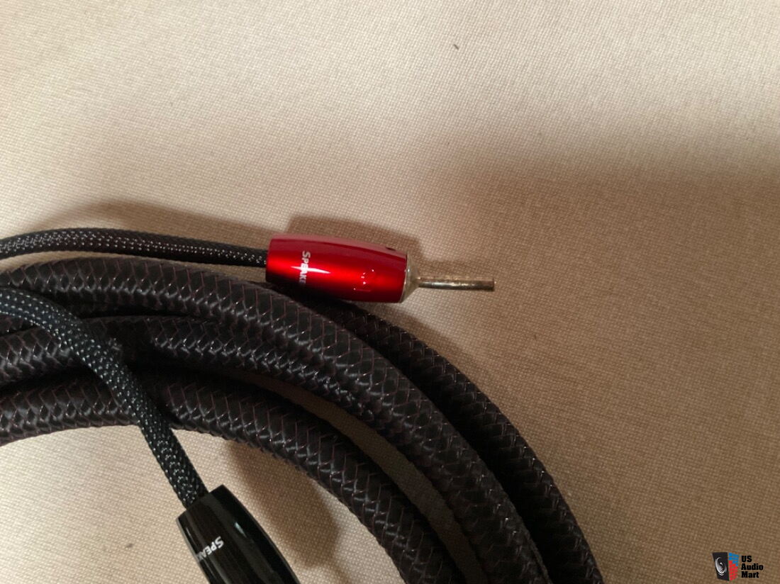 AudioQuest Type 9+ DBS Speaker Cables (12 ft) Photo #5256859 - US Audio ...
