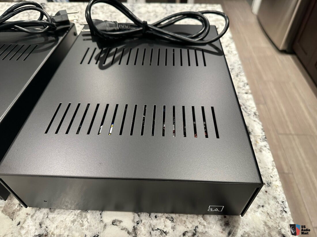 Buckeye Purifi Monoblocks (2) Photo #5258581 - US Audio Mart