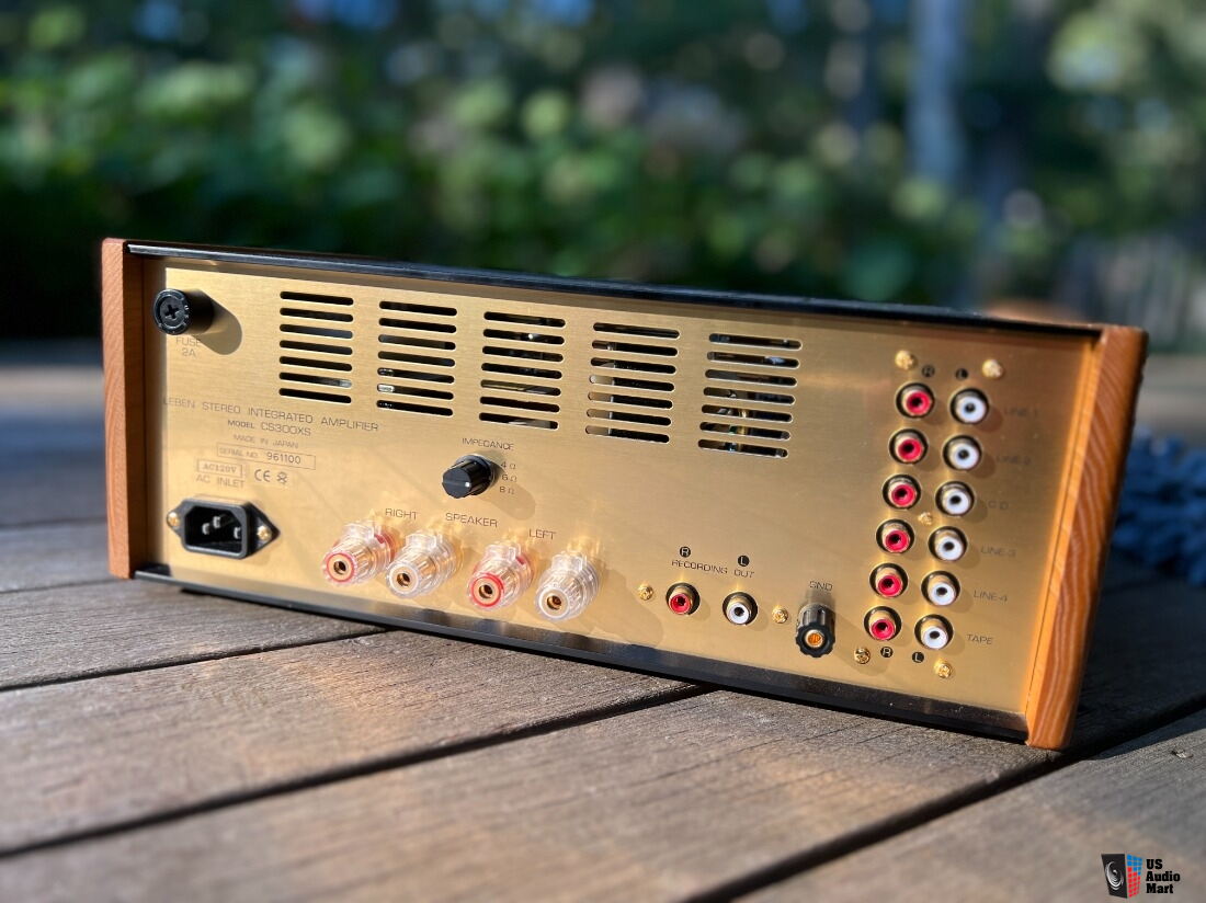 Leben CS300XS Newer Version Photo #5259378 - US Audio Mart