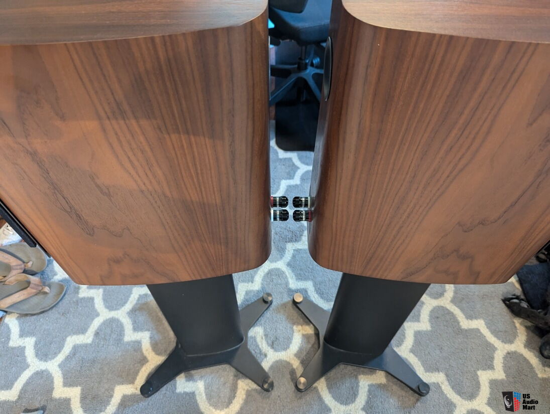 Dynaudio Contour 20i w/ Stands + Adapter Plates Photo #5265756 - Canuck ...