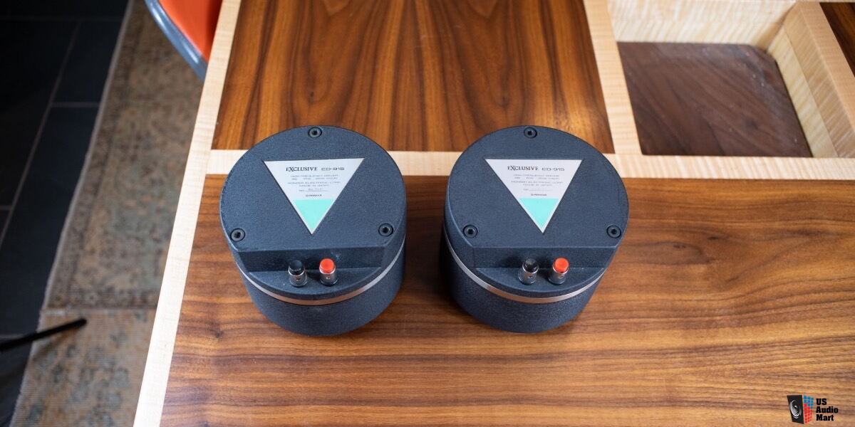 Pioneer Exclusive ED-915 (predecessor to TAD-2001) For Sale - US Audio Mart