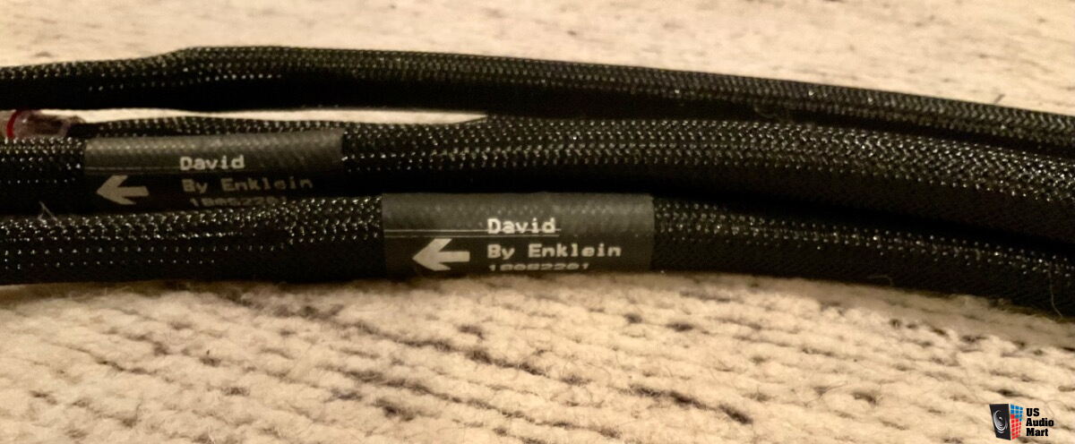 EnKlein David speaker cables (8 ft) Photo #5281577 - US Audio Mart