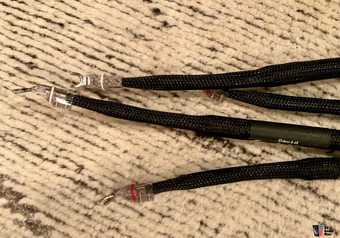 EnKlein David speaker cables (8 ft) Photo #5281577 - US Audio Mart