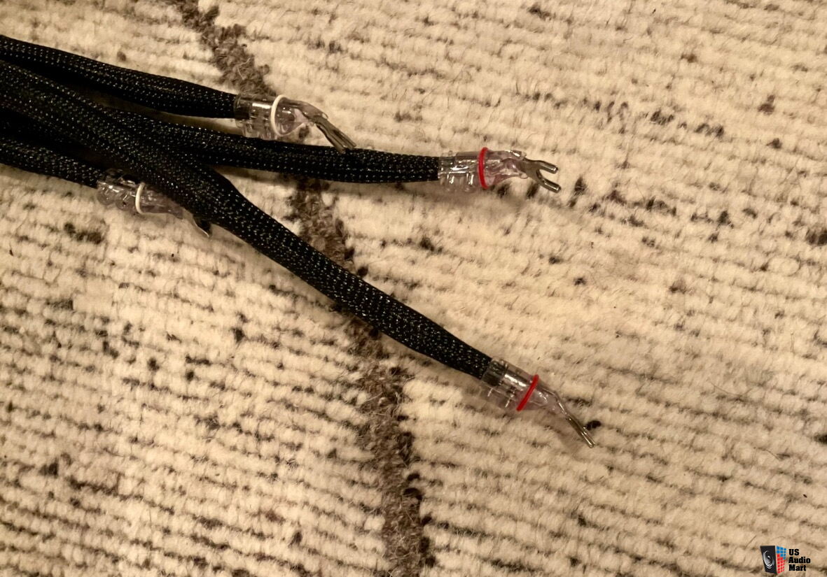 EnKlein David speaker cables (8 ft) Photo #5281575 - US Audio Mart