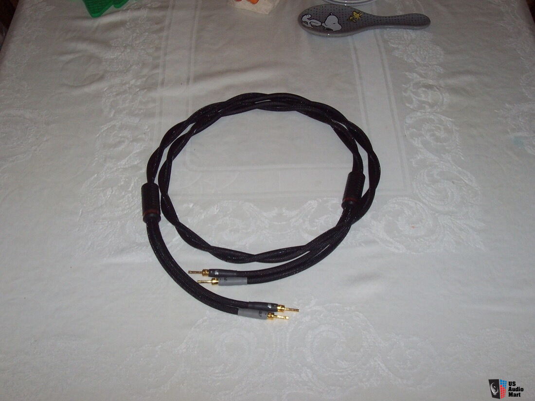 Shunyata Delta v2 speaker cables, 2m, bananas Photo #5284037 - US Audio ...
