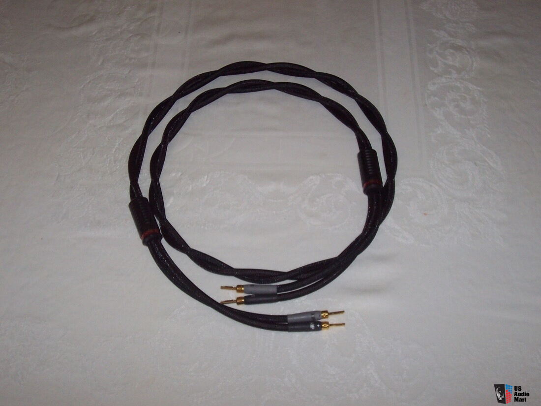 Shunyata Delta v2 speaker cables, 2m, bananas Photo #5284039 - US Audio ...