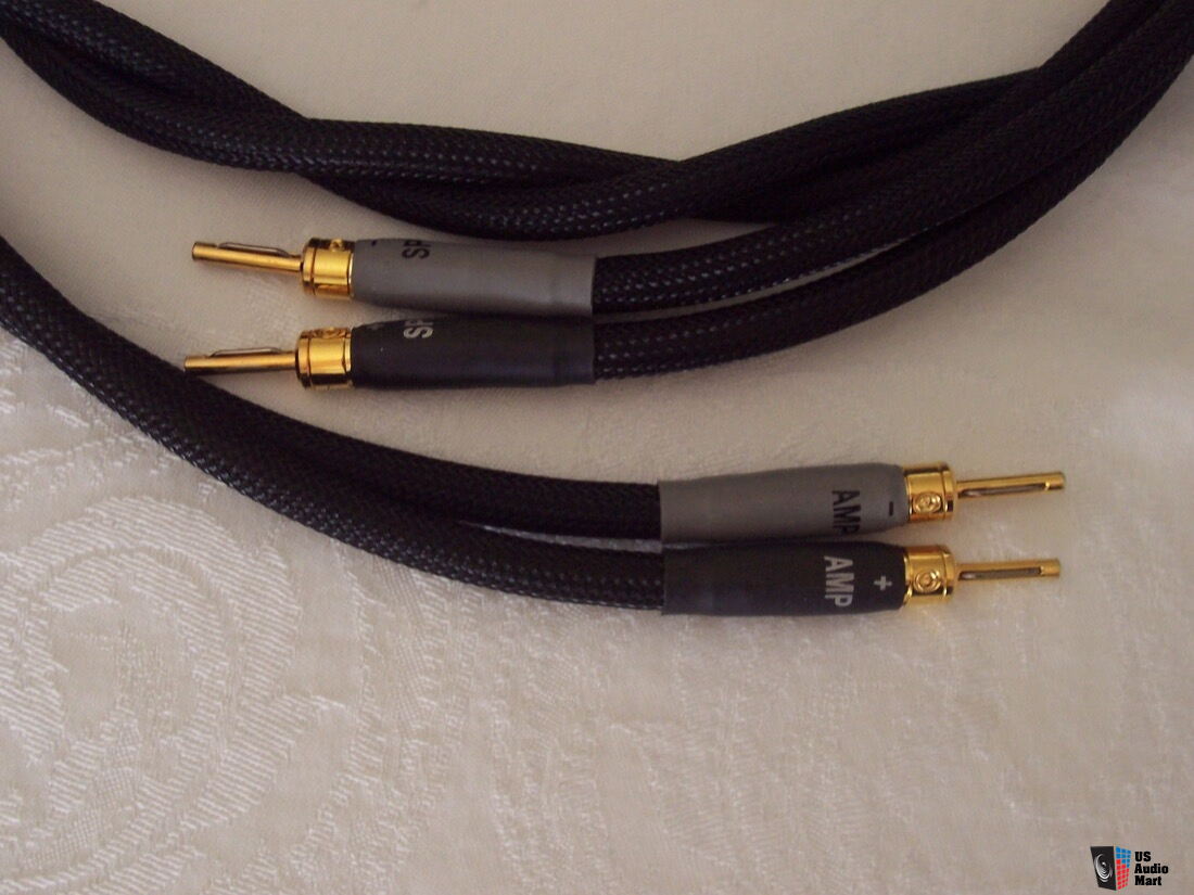 Shunyata Delta v2 speaker cables, 2m, bananas Photo #5284040 - US Audio ...