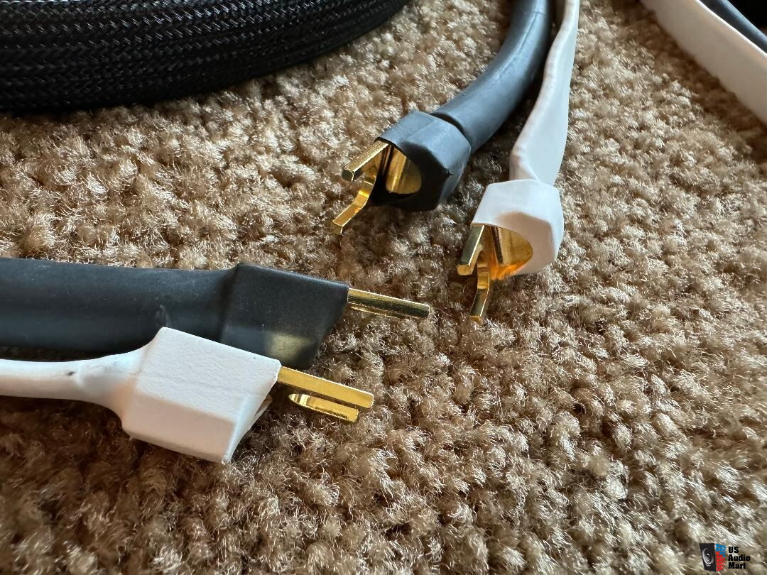 Analysis Plus Inc. Silver Apex Speaker Cables