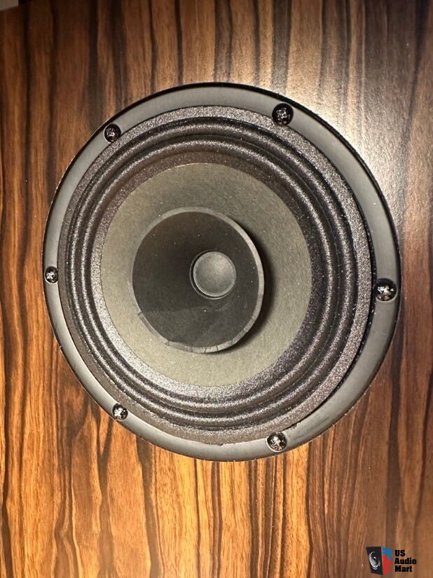 Omega Super Alnico Monitors - EKO Ebony finish Photo #5295490 - US ...