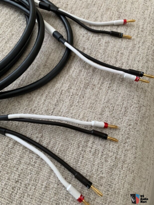 Mogami 3103, 12gauge 8ft pair High Resolution speaker cables Photo ...