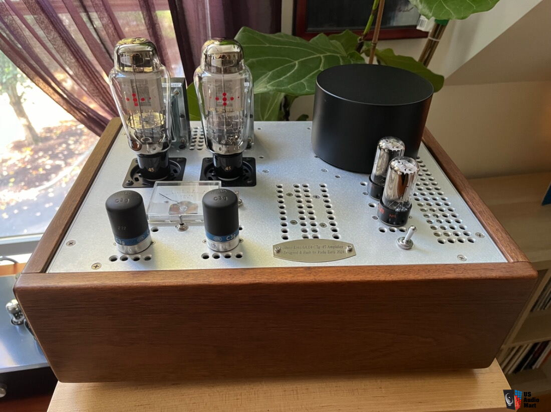 Shiny Eyes SET 45 Mesh Tube Amplifier from Radu Tara Photo #5300228 ...