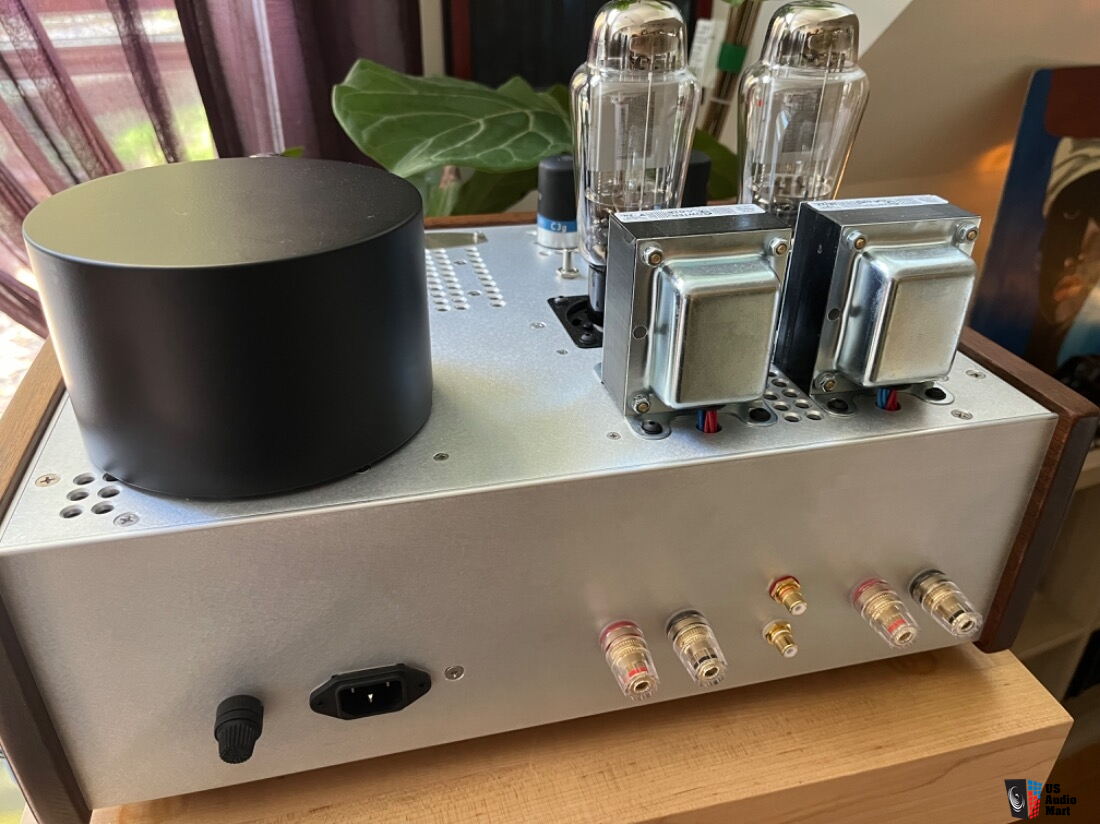 Shiny Eyes SET 45 Mesh Tube Amplifier from Radu Tara Photo #5300228 ...